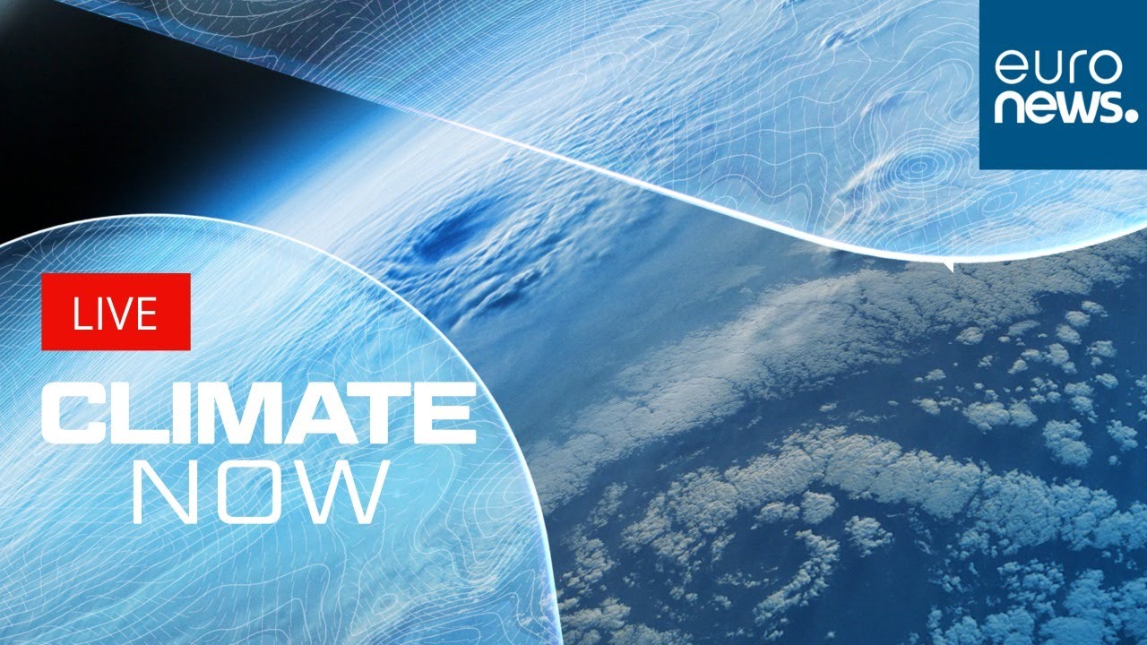 What’s the link between biodiversity and climate change? - PubAffairs ...