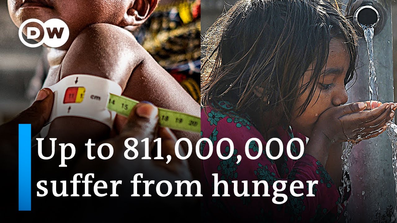 Is UN's goal of zero world hunger by 2030 moving out of reach ...