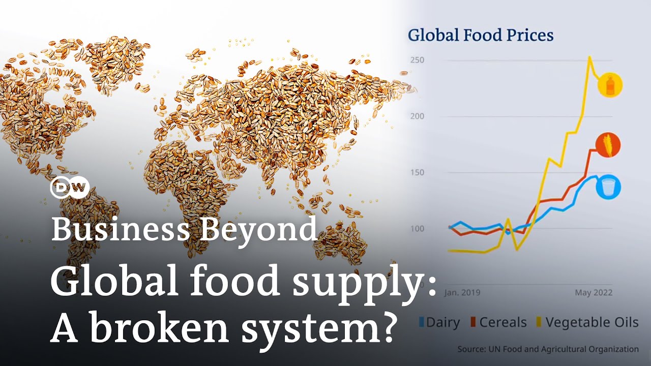 A world going hungry? How conflict and climate change disrupt global ...