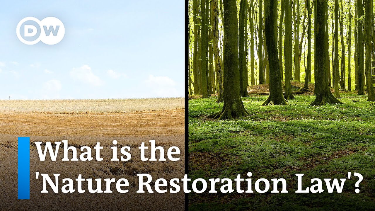 What is the EU's Nature Restoration Law? - PubAffairs Bruxelles