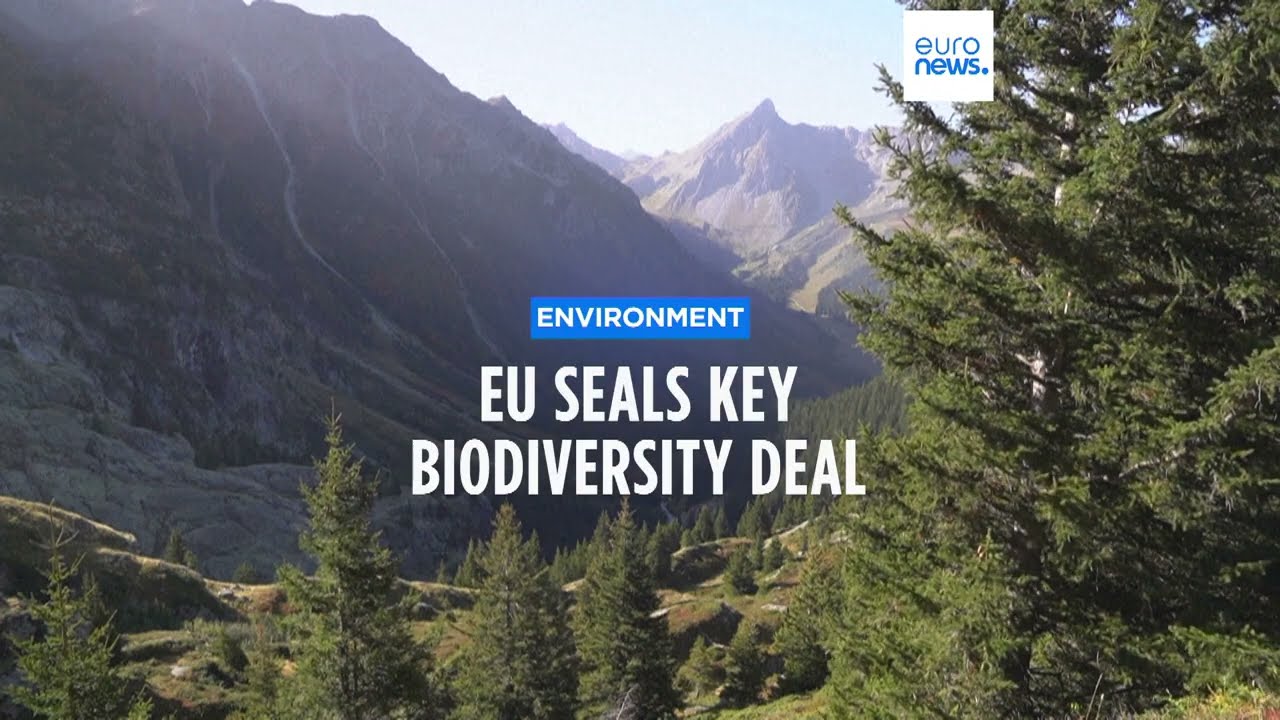 'Historic result': European Parliament and member states reach ...